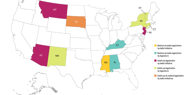 States Attempting to Legalize Cannabis in 2020